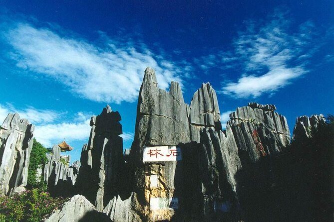 Private day tour in Kunming to Stone forest and cuihu lake with lunch - Transportation and Guide Service