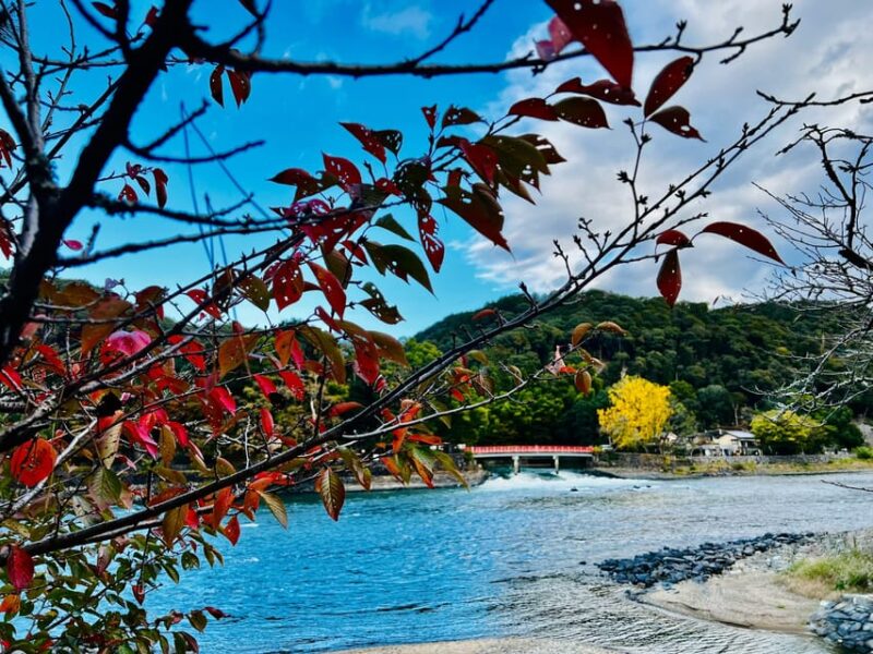 Private Day Tour in Kyoto & Uji: Delightful Shrine & Matcha - Key Points