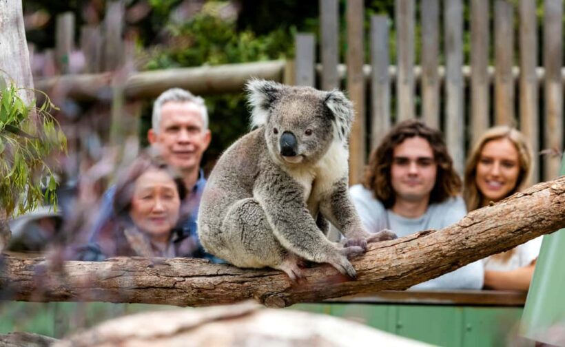 Private Day Tour in Melbourne - A Closer Look at the Itinerary