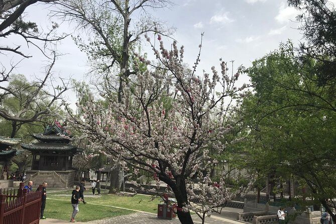 Private Day Tour in Taiyuan: Jinci, Mengshan Buddha, Tianlong Mount - FAQ
