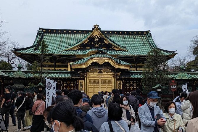 Private Day Tour in Tokyo With a Native English Speaker - Transportation and Costs