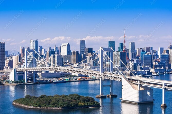 Private Day Tour in Tokyo With Government-Licensed Guide - Accessibility