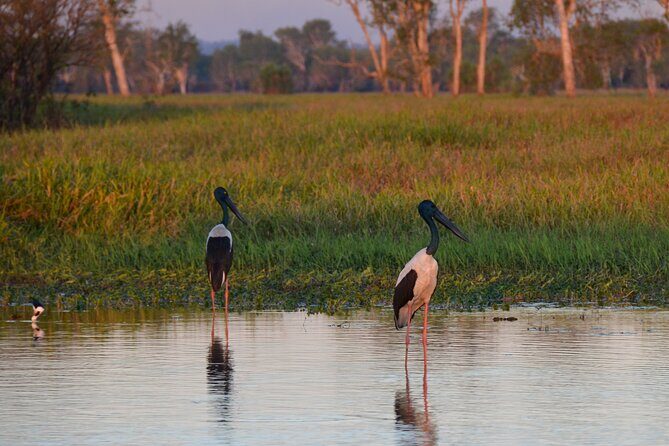 Private Day Tour Kakadu - Humpty Doo: Outback Dinner Time