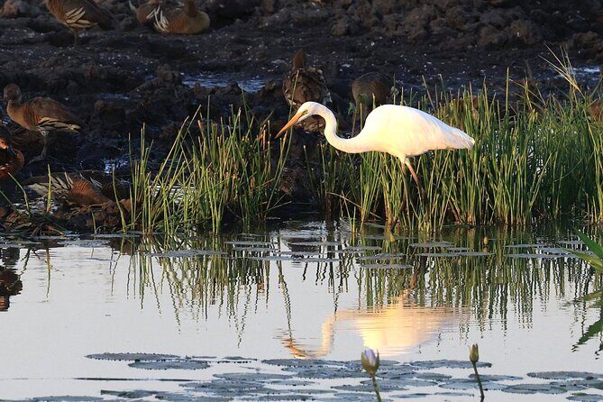 Private Day Tour Kakadu - What’s Included and What’s Not?