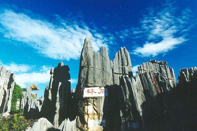 Private Day Tour: Kunming Highlight of Stone Forest - Final Thoughts