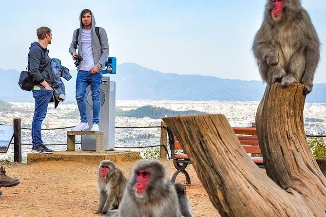 Private Day Tour - Kyoto Arashiyama & Bamboo Forest Perfect Tour! - Visiting Tenryū-ji Temple