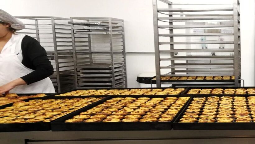 Private day tour Lisbon: Highlights with tastings - Discovering Lisbon: An In-Depth Look