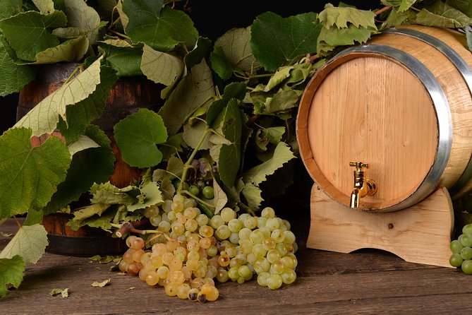 Private Day Tour & Lunch: Parmesan, Wine, and Vinegar Tasting - Balsamic Vinegar Factory Tour