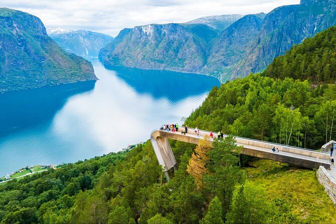 Private Day Tour Nærøyfjord Cruise, Viking Village, Flåm Railway - Who Should Consider This Tour?