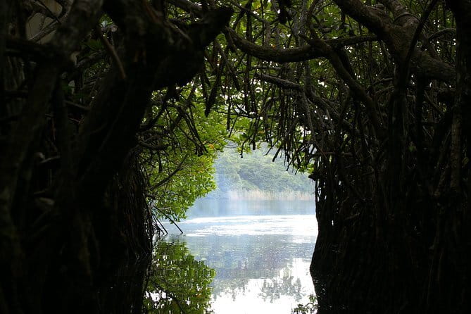 Private Day Tour: Negombo City Tour from Colombo - Key Points