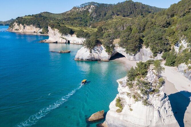 Private Day Tour of Cathedral Cove, Zipline and Glass Bottom Boat - Key Points