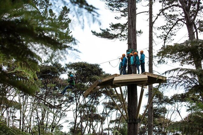 Private Day Tour of Cathedral Cove, Zipline and Glass Bottom Boat - Who is This Tour Best For?