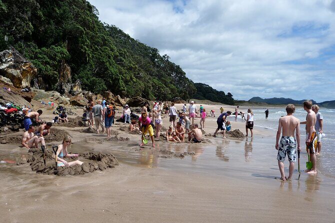 Private Day Tour of Cathedral Cove, Zipline and Glass Bottom Boat - The Sum Up