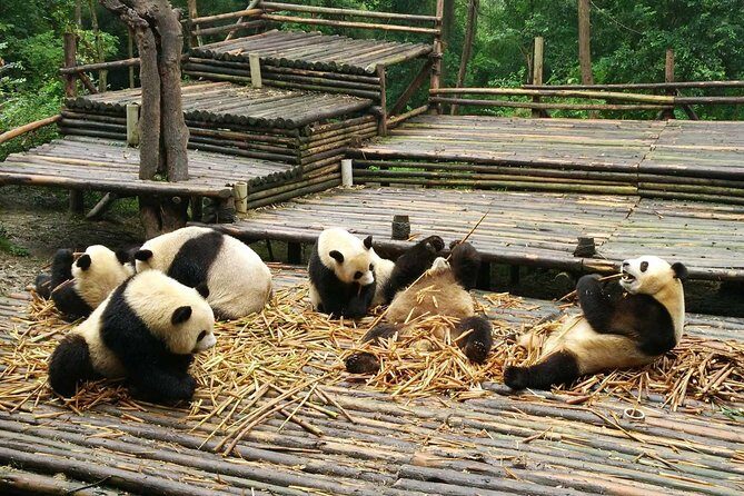 Private Day Tour of Chengdu City Overivew - Practical Details and Logistics
