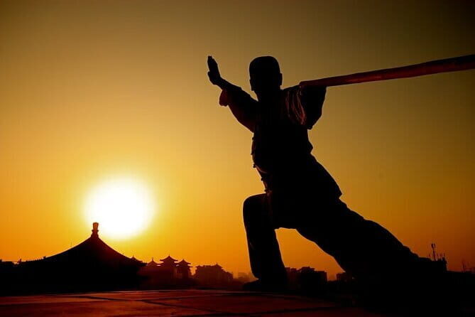 Private Day Tour of Chinese Kungfu and Terra-cotta Warriors - The Highlight: The Terra-cotta Warriors Museum