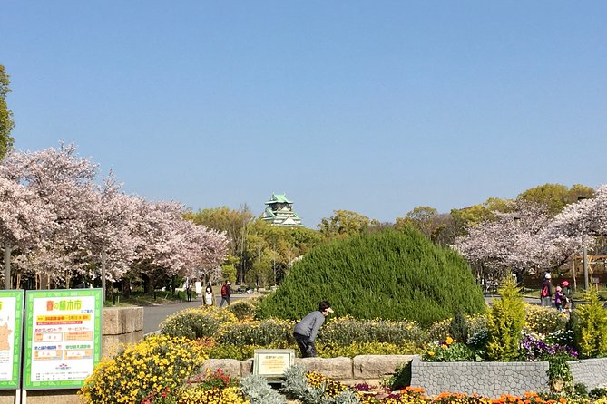 Private Day Tour of Historic Osaka - Tour Experience