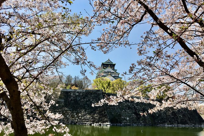 Private Day Tour of Historic Osaka - Customer Feedback
