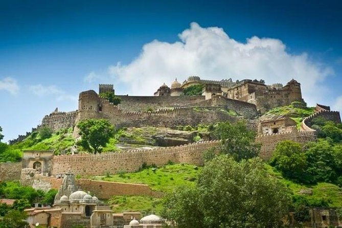 Private Day Tour Of Kumbhalgarh Fort & Wildlife Sanctuary From Udaipur - Lunch and Transition to Wildlife