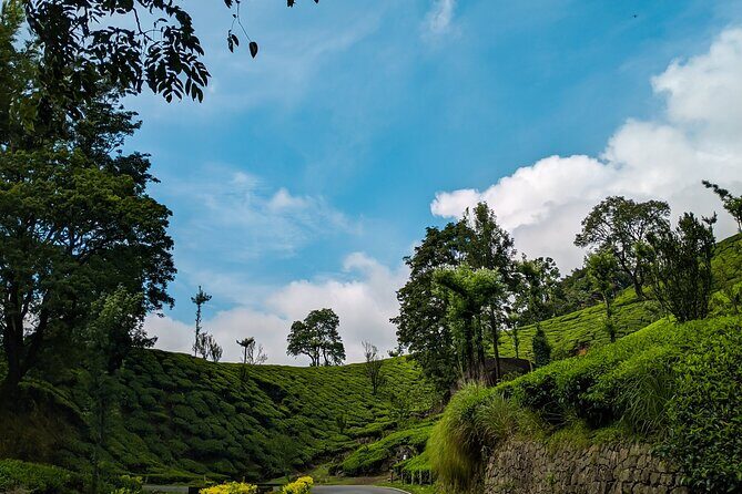 Private Day Tour of Munnar from Kochi in Air-Conditioned Vehicle - The Itinerary in Detail
