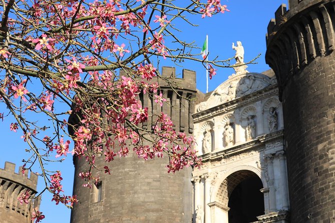 Private Day Tour of Naples from Sorrento - In The Sum Up