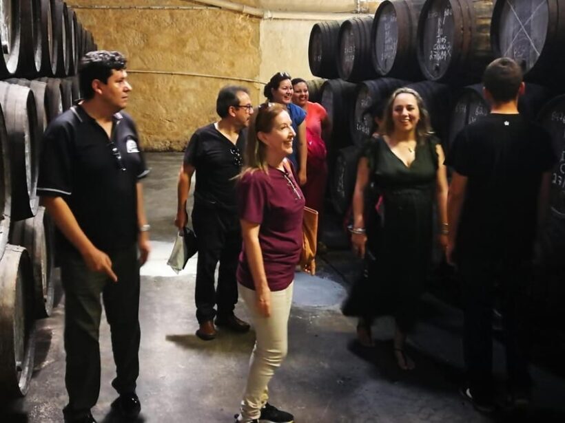 Private day tour of Olive Oil , Salt Flats and Winery - Introduction