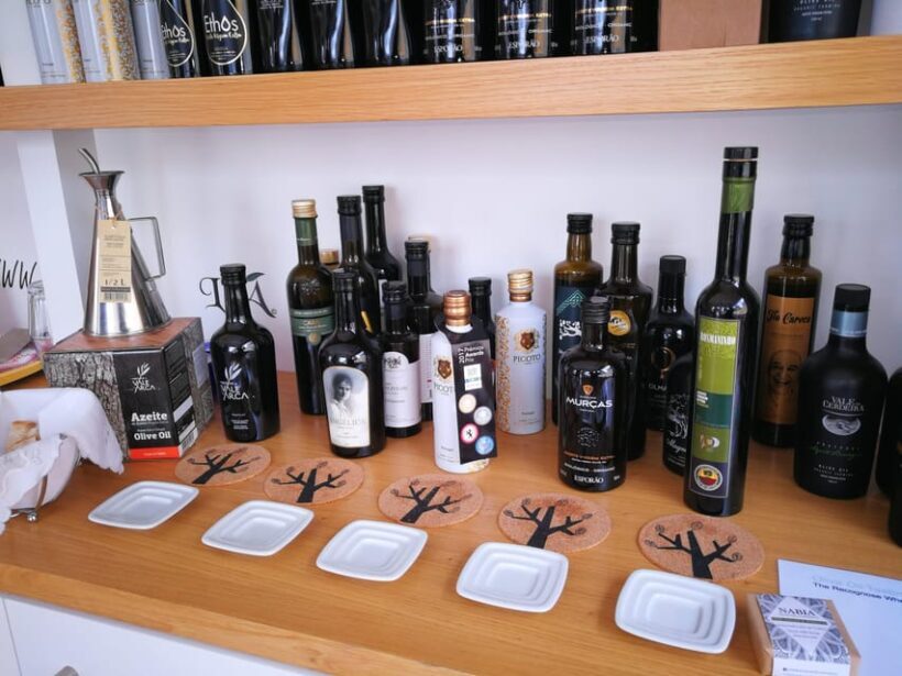 Private day tour of Olive Oil , Salt Flats and Winery - Tasting Wines Near Vineyards