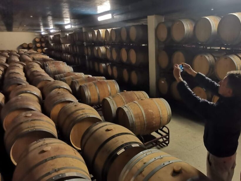 Private day tour of Olive Oil , Salt Flats and Winery - Practical Details and Value