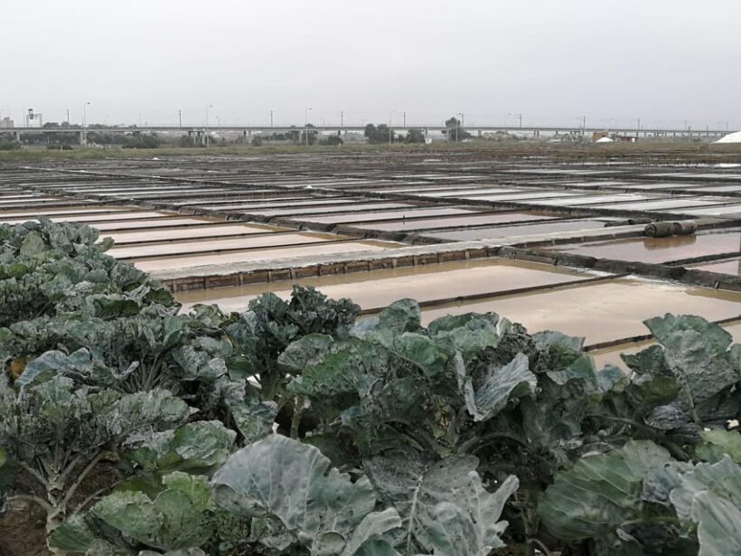 Private day tour of Olive Oil , Salt Flats and Winery - FAQ