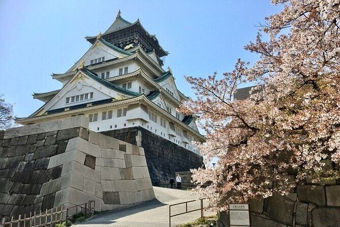Private Day Tour of Osaka Castle - Final Thoughts