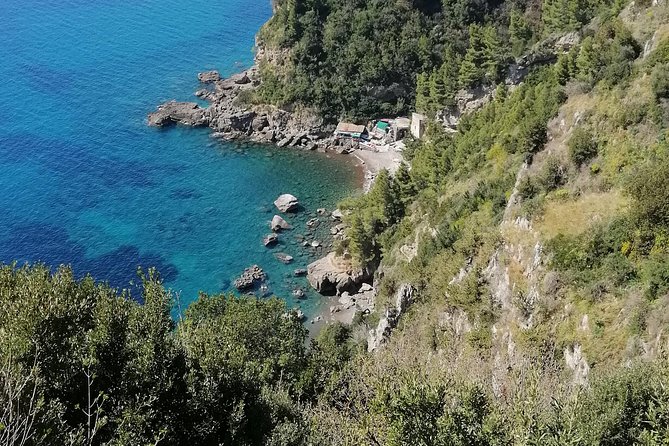 Private Day Tour: Pompeii, Sorrento and Positano. - Visiting Pompeii