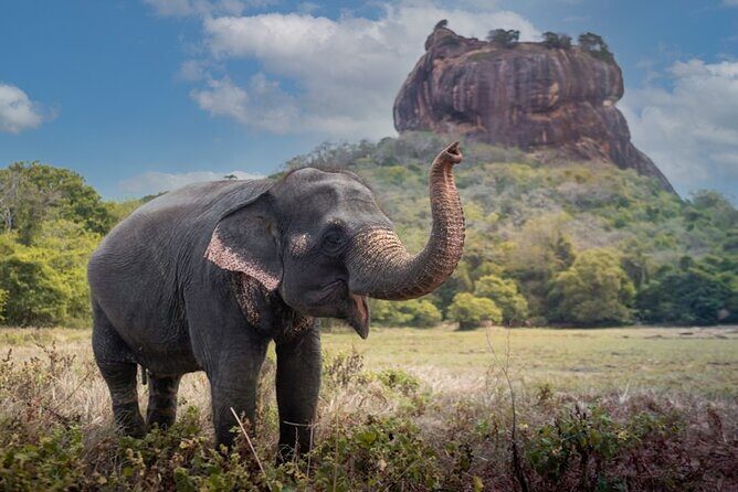 Private day Tour Sigiriya & Dambulla Cave Temple with Entrance Fee & Lunch - Starting Early for a Full Day of Exploration