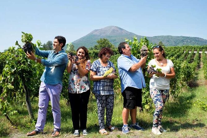 Private Day Tour: Sorrento, Positano, Amalfi and Ravello. - Why Choose This Tour