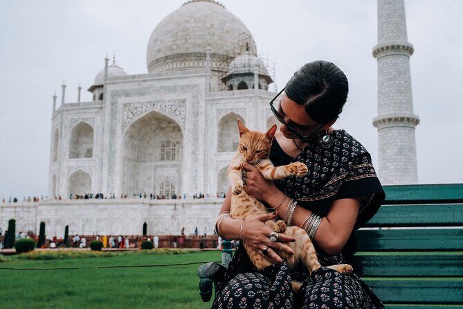 Private Day Tour Tajmahal Agra From Delhi - What You Can Expect from the Tour