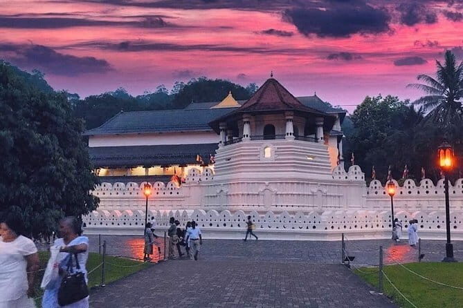 Private day tour to Anuradhapura from Kandy - Authentic Perspectives from Past Travelers