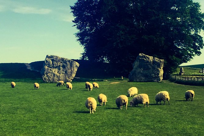 Private Day Tour to Bath, Avebury & The Cotswolds - Frequently Asked Questions