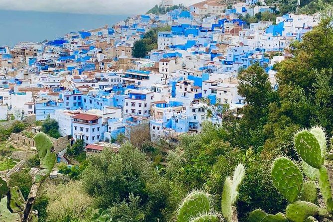 Private Day tour to Chefchaouen from Tangier - Lunch and Free Time