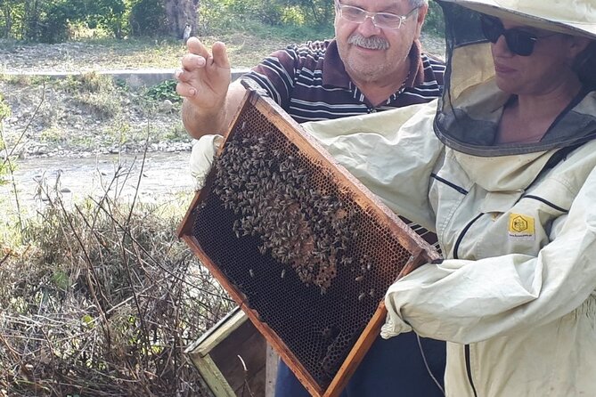 Private Day Tour to Historical Villages in Sinaia - Authentic Experiences and Genuine Value