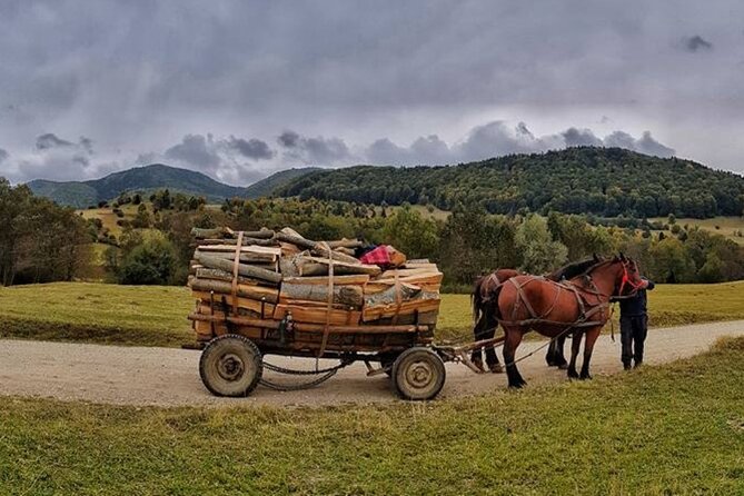 Private Day Tour to Historical Villages in Sinaia - The Sum Up
