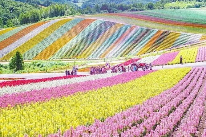 Private Day Tour to Hokkaido Noboribetsu and Lake Toya by Car - Frequently Asked Questions