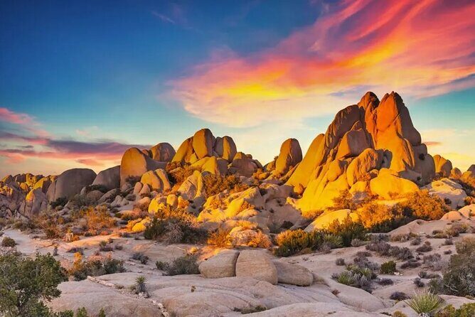 Private Day Tour to Joshua Tree National Park from San Diego - Who Should Consider This Tour?
