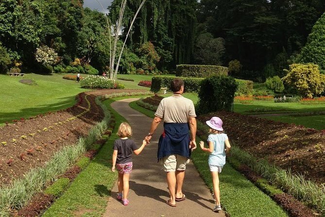 Private Day Tour To Kandy From Kaluthara - What We Like and What to Consider