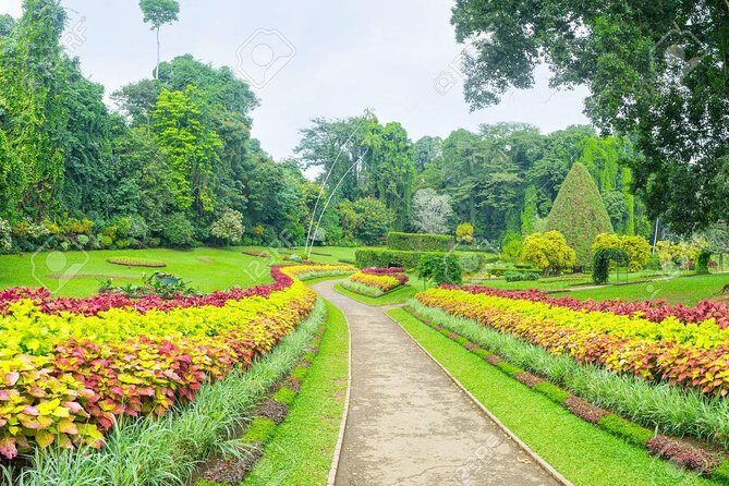 Private Day Tour To Kandy From Wadduwa - Key Points