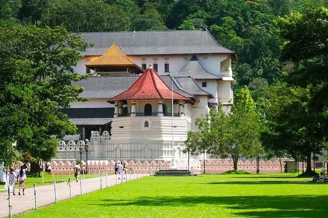 Private Day Tour To Kandy From Wadduwa - Cost Analysis and Value