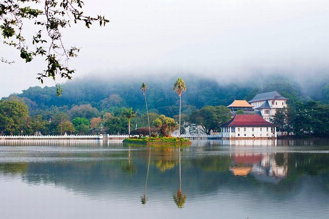 Private Day Tour To Kandy From Wadduwa - Who Will Love This Tour?