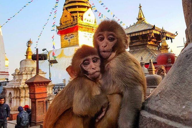 Private Day Tour to Kathmandu Durbar Square & Swayambhu Stupa #visitnepal2020 - An In-Depth Look at the Tour Experience
