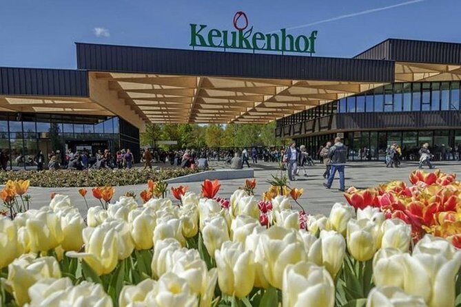 Private Day Tour to Keukenhof Gardens - from Amsterdam/Rotterdam - Exploring the Tour Experience in Detail