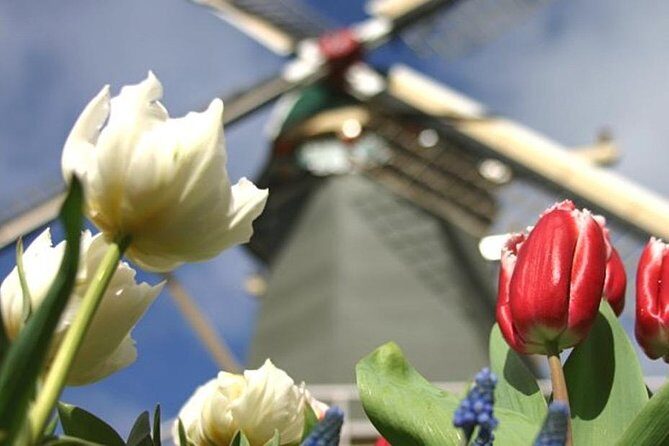 Private Day Tour to Keukenhof Gardens - from Amsterdam/Rotterdam - FAQ