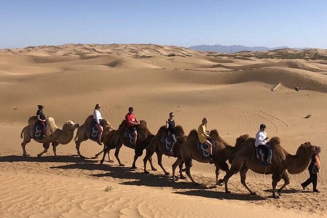 Private Day Tour to Kubuqi Desert from Hohhot with Pick Up - An In-Depth Look at the Kubuqi Desert Tour