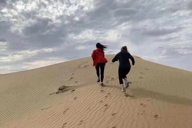 Private Day Tour to Kubuqi Desert from Hohhot with Pick Up - Authentic Experiences & Practical Details