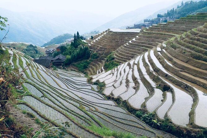 Private Day Tour to Longji Rice Terraces from Yangshuo - What’s Included and What’s Not